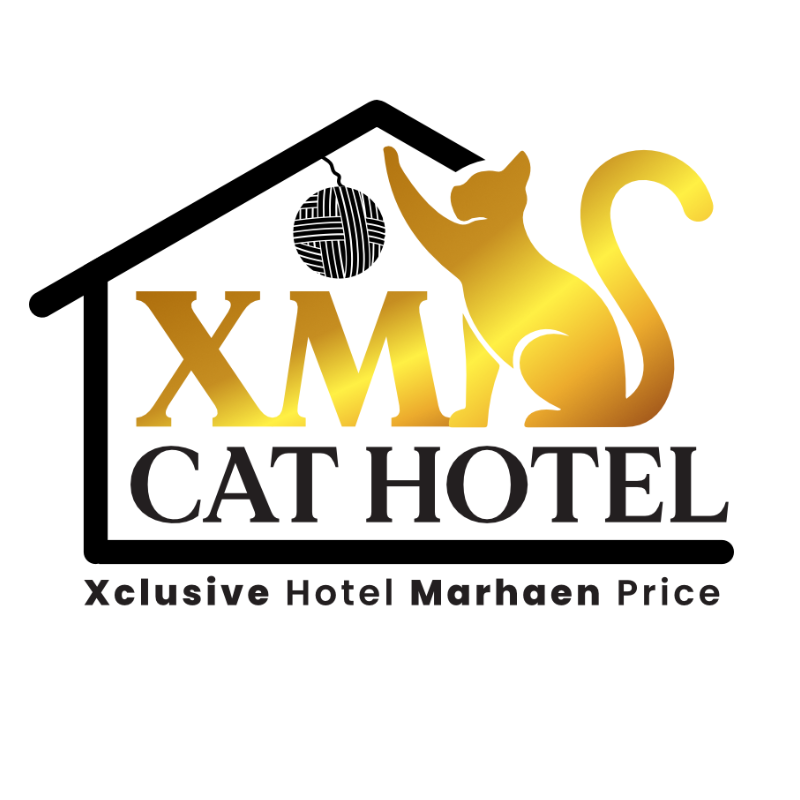 XM Cat Hotel